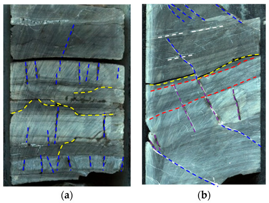 Flow Characterization in Fractured Shale Oil Matrices Using Advanced ...