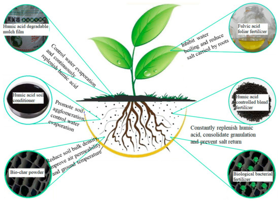 Practice of Improving Saline–Alkali Soil with Bio-Humic Acid