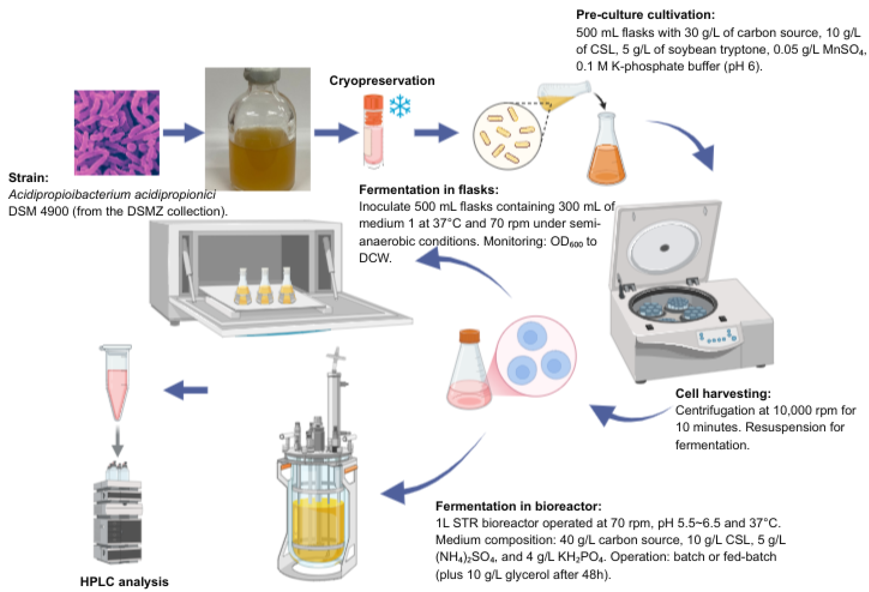 Sustainable Production of Propionic Acid from Xylose and Glycerol by ...