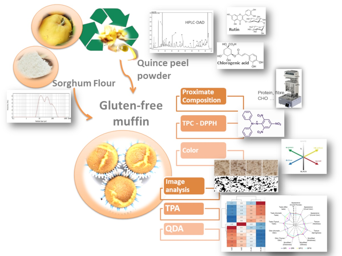 Cydonia oblonga Mill. (Quince) Peel as a Functional Food Ingredient in ...
