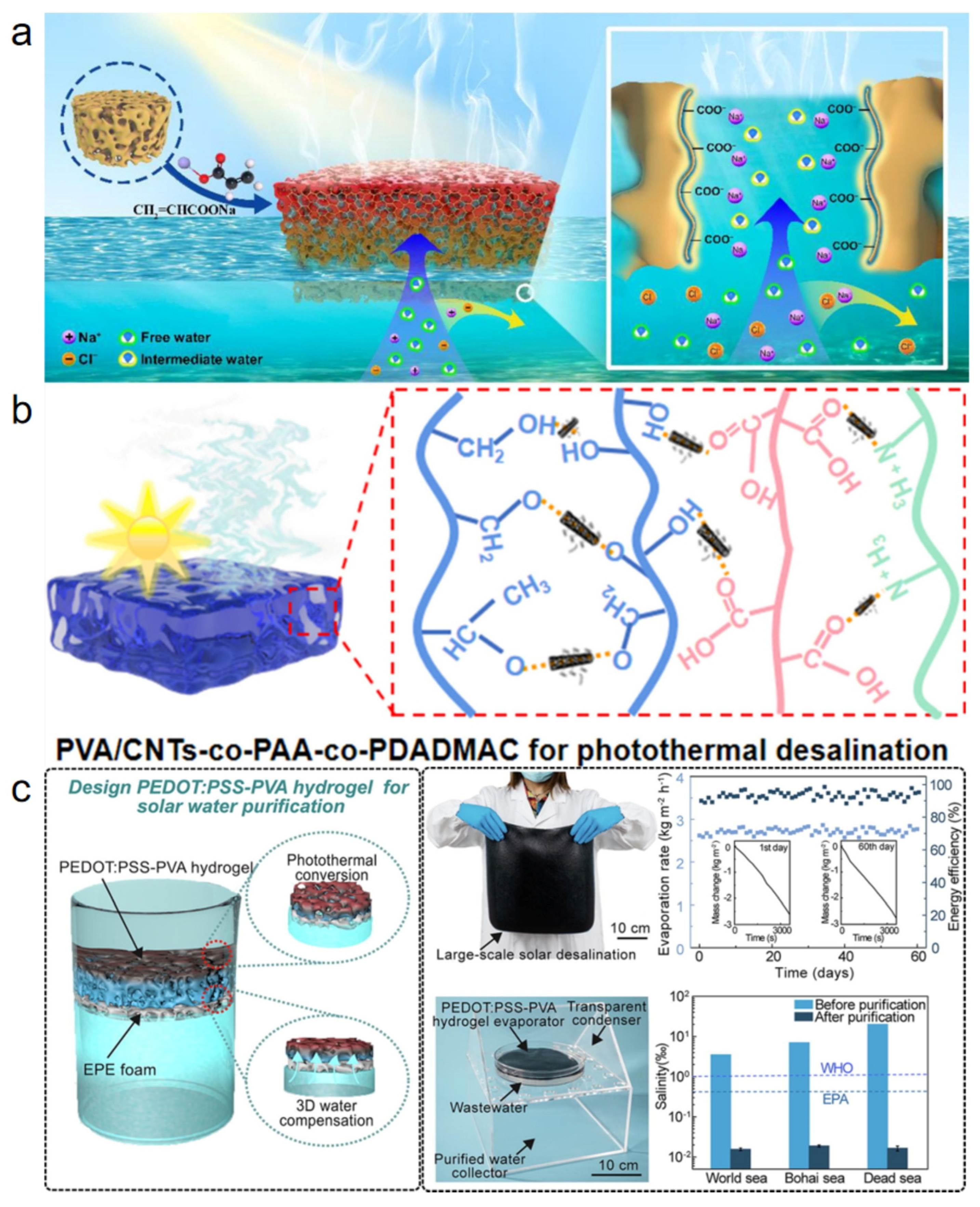 Hydrogel-Based Solar Interfacial Evaporators: Design, Performance, and ...