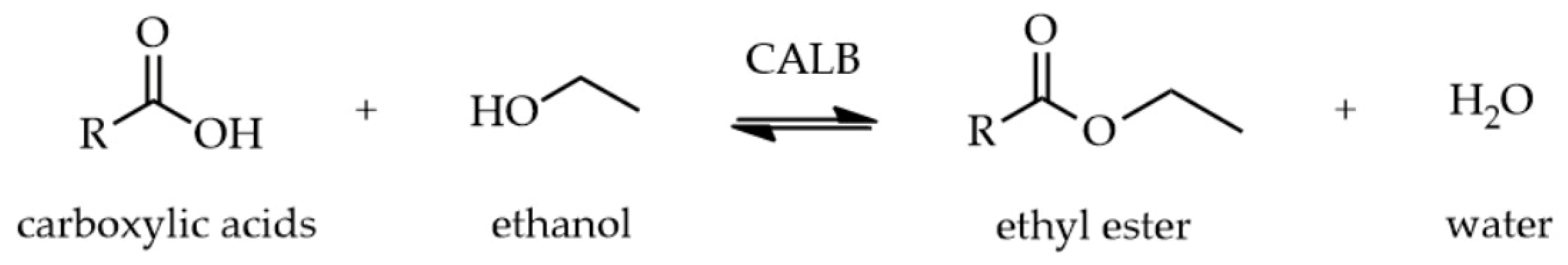 Enhancing Bio-Oil Quality Through Ethyl Esterification Catalyzed by ...
