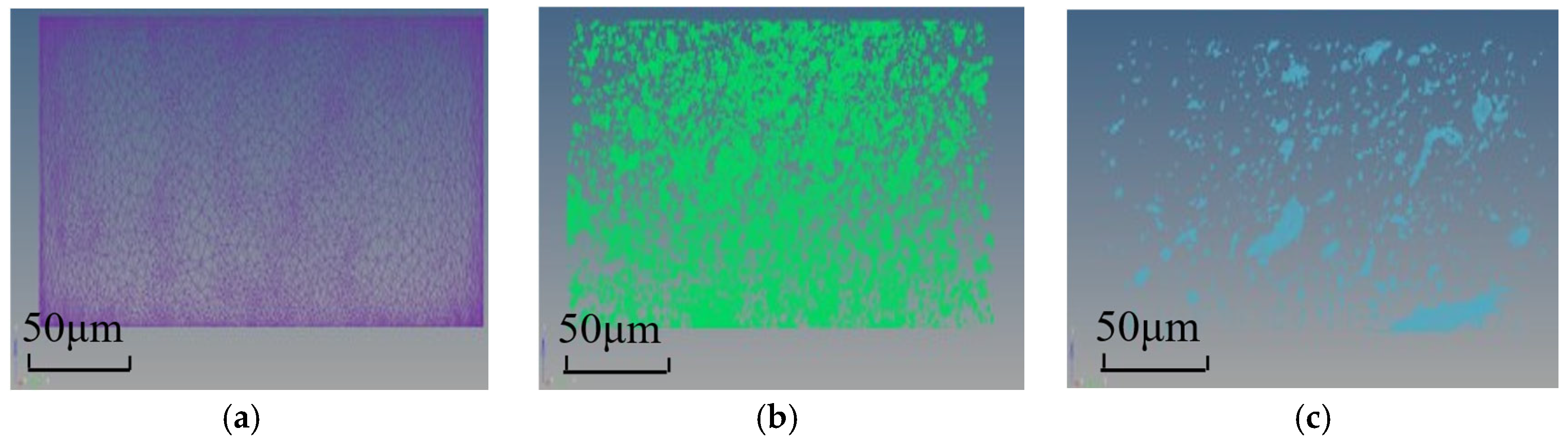 Three-Dimensional Modeling of Full-Diameter Micro–Nano Digital Rock ...