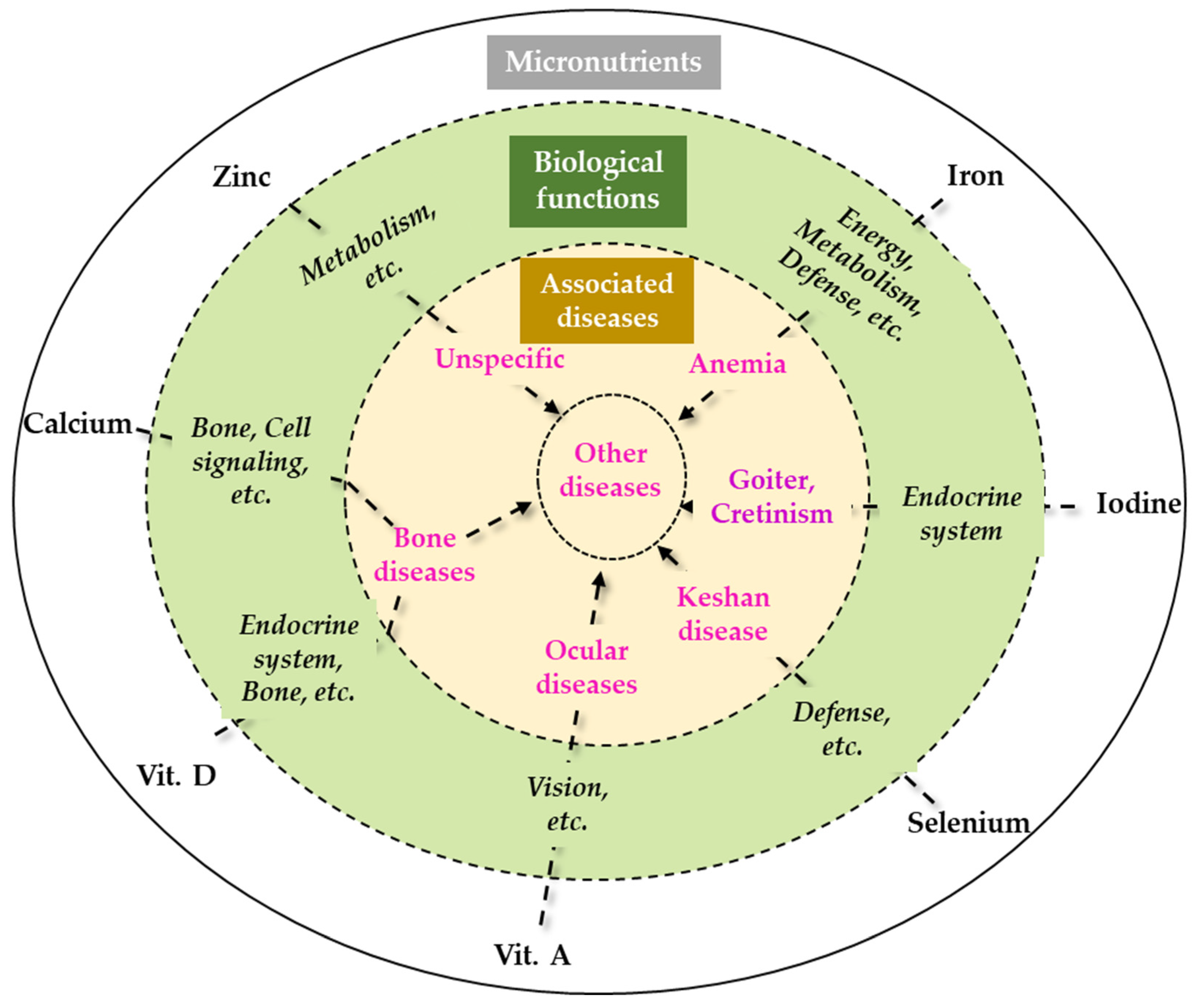 Sustainable Strategy to Fight Hidden Hunger Using Food Waste: The Case ...