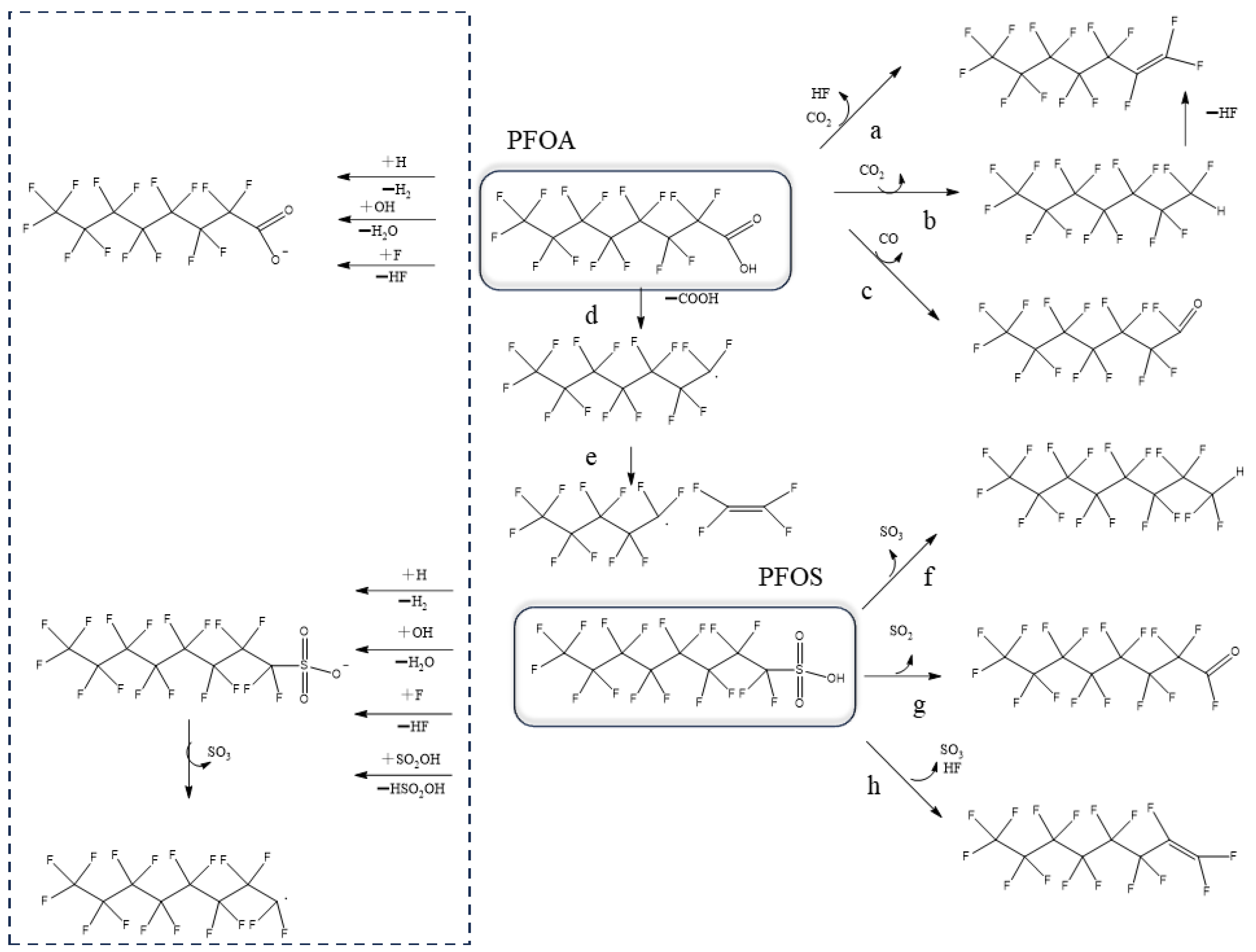 Breaking the “Forever Chemical” Cycle: A Critical Review of Per- and ...