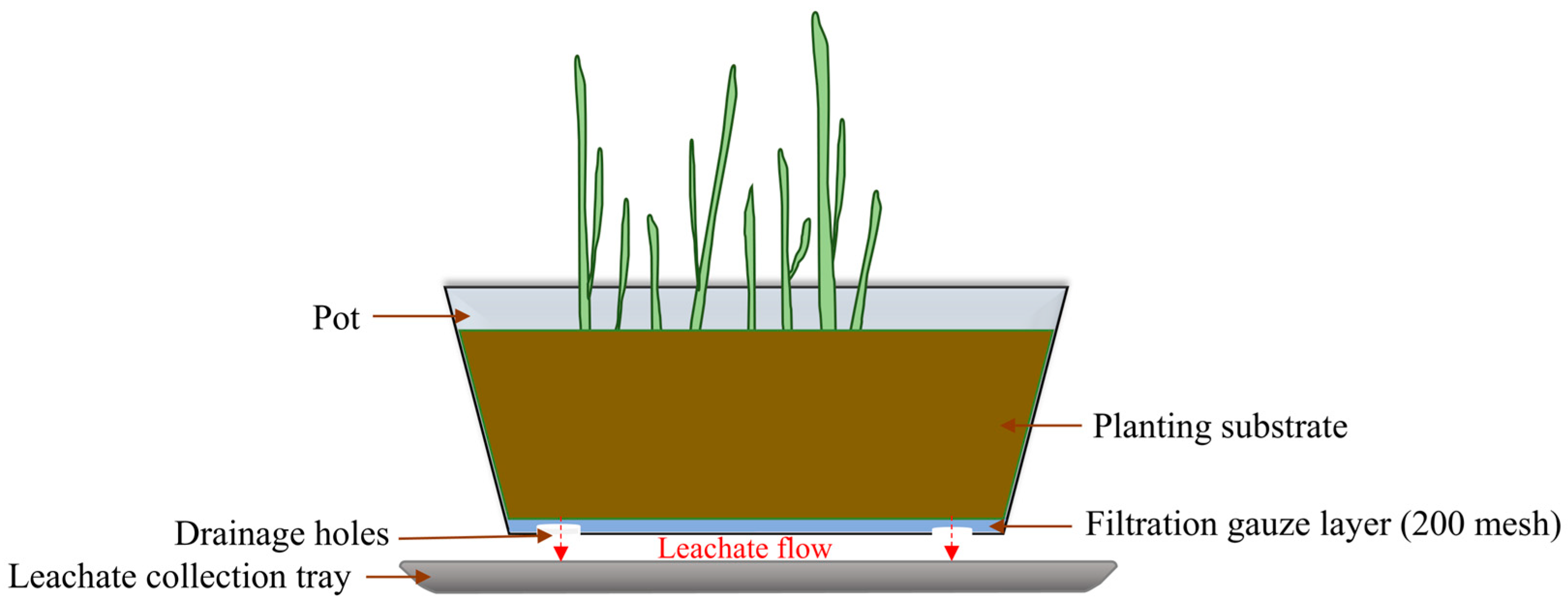 Sustainable Valorization of Coal Gangue into a Planting Substrate ...