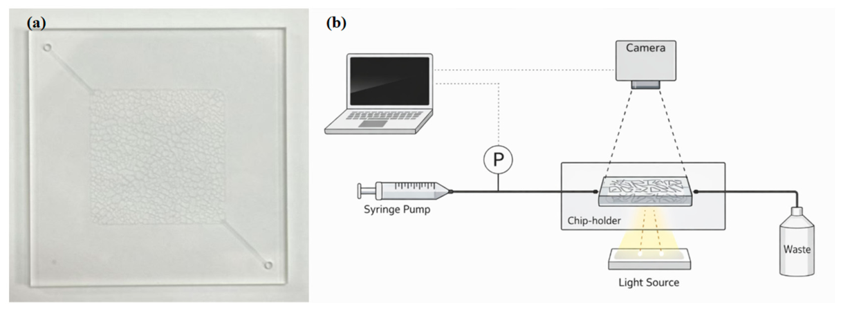 Synergistic Mechanisms of Core–Shell Nanoparticle/Surfactant ...