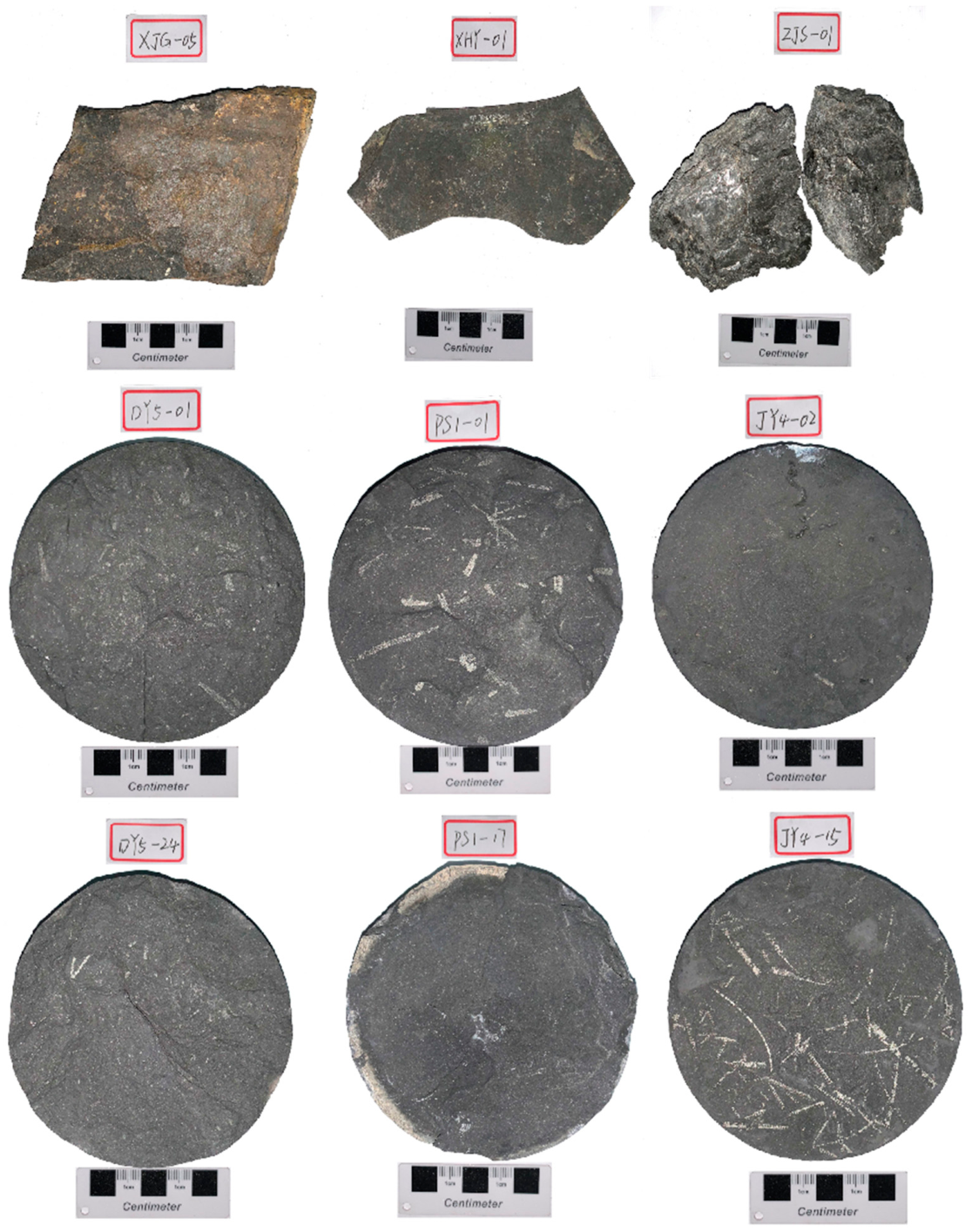Differences in Reservoir Characteristics of Organic-Rich Deep-Water ...
