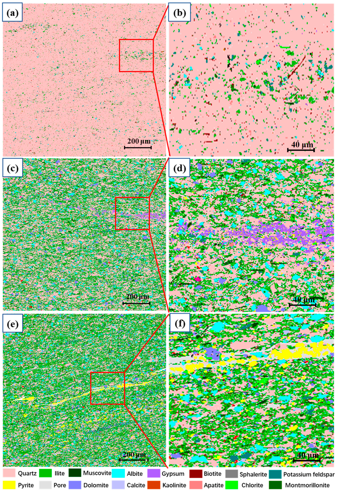 Differences in Reservoir Characteristics of Organic-Rich Deep-Water ...