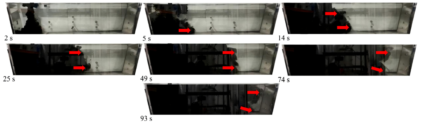 The Influence of Water Temperature Conditions on the Tracer Transport ...