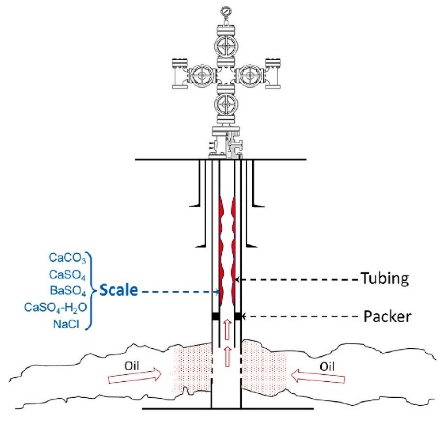 The Design and Research of a New Cavitation-Jet Blockage-Removal Tool