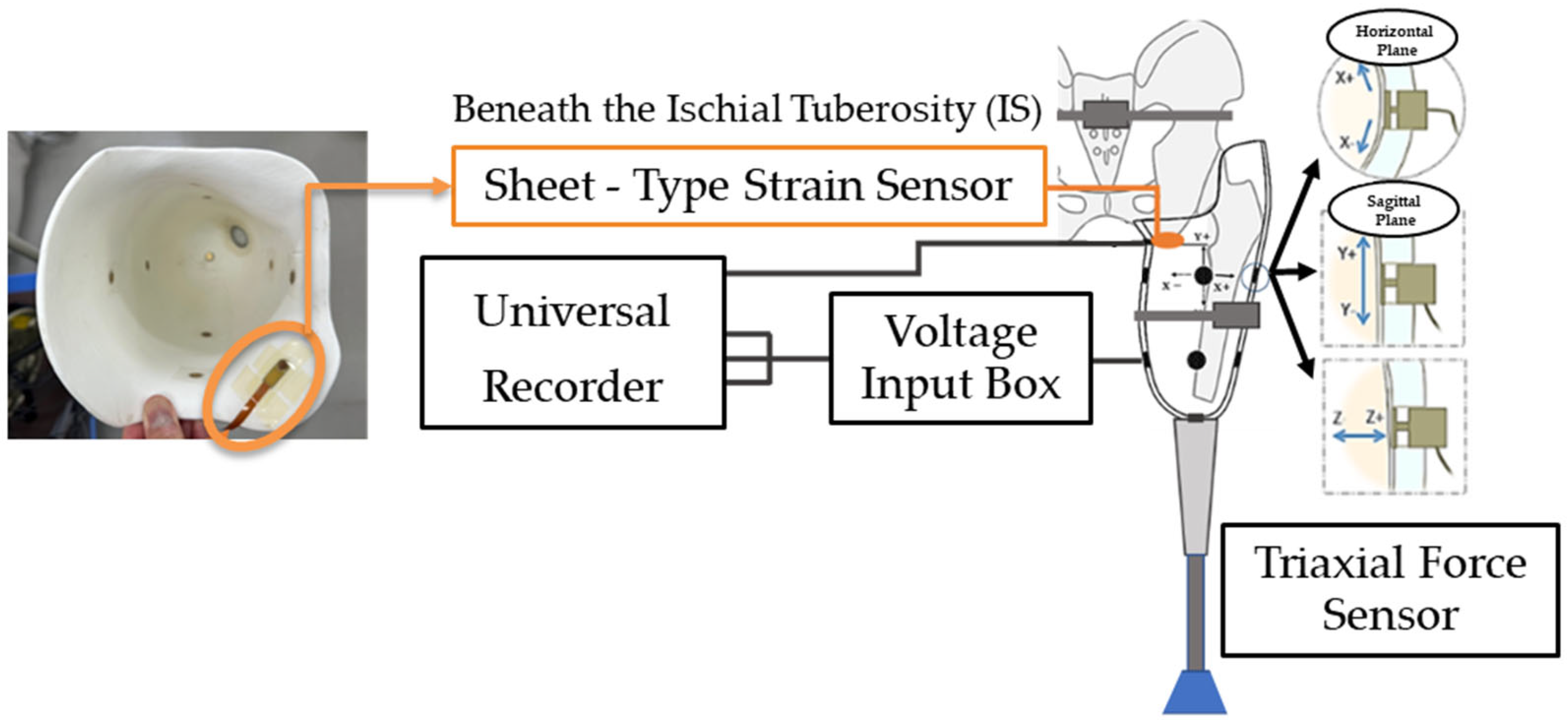 A Proof-of-Concept Framework Integrating ML-Based MRI Segmentation with ...