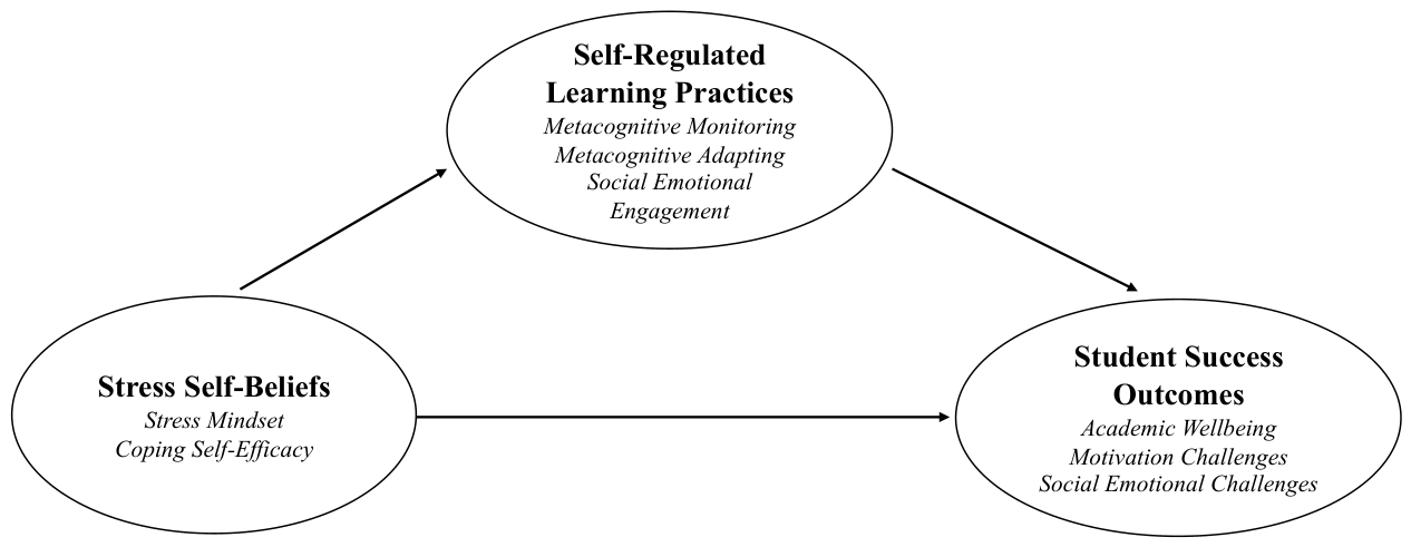 Investigating the Contributions of Stress Appraisals and Self-Regulated ...