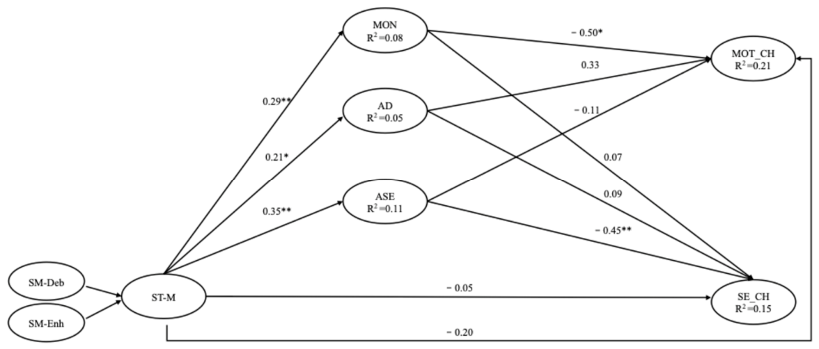 Investigating the Contributions of Stress Appraisals and Self-Regulated ...