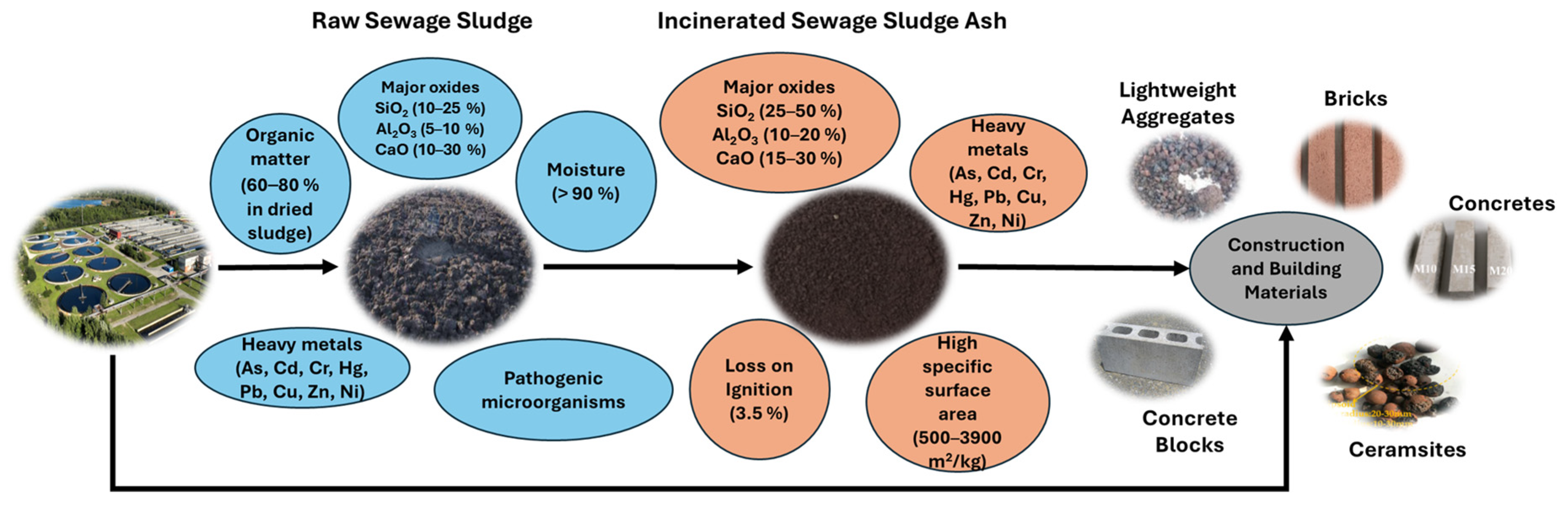 Sewage Sludge as a Sustainable Raw Material for the Latvian ...