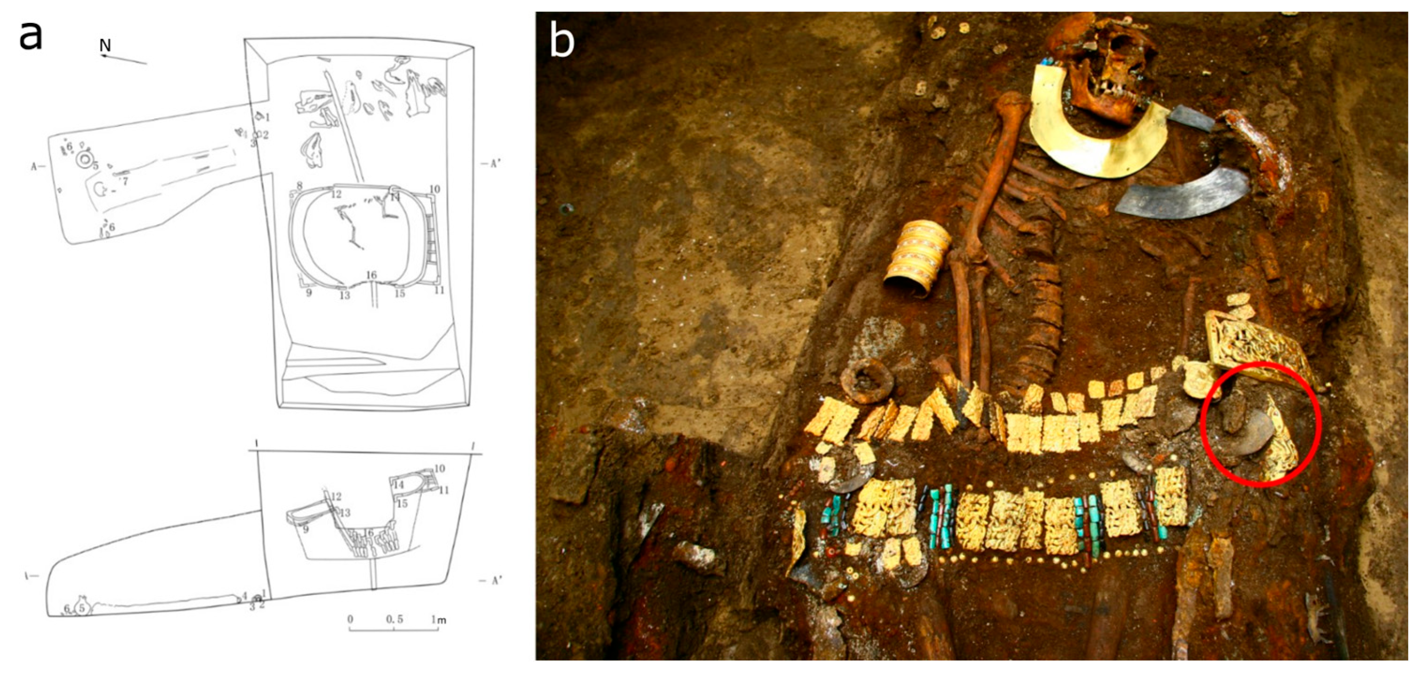Sacred Mediators of the Xirong: Ritual Specialists and Cosmological ...