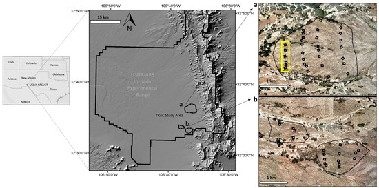 Fine-Resolution Repeat Topographic Surveying of Dryland Landscapes ...