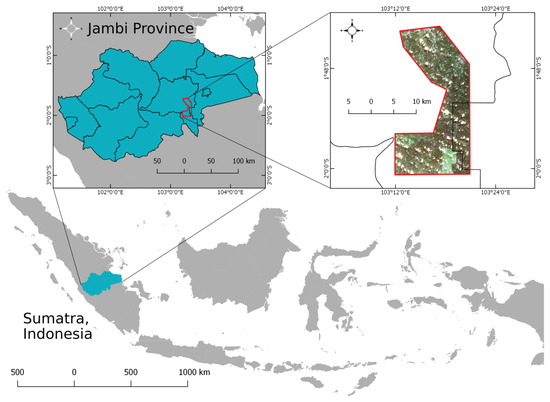 Large Scale Palm Tree Detection in High Resolution Satellite Images ...