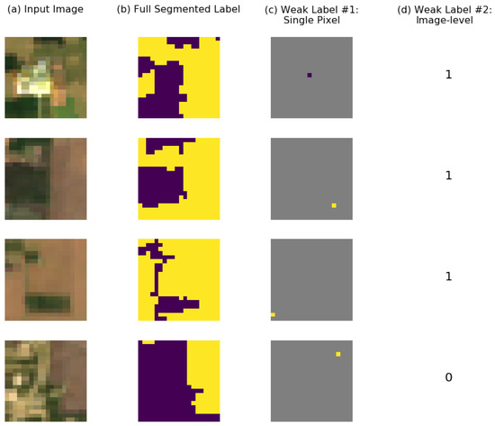 Remote Sensing | Free Full-Text | Weakly Supervised Deep Learning for ...