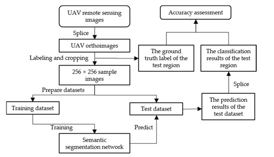 Remote Sensing | Free Full-Text | Recognizing Zucchinis Intercropped ...