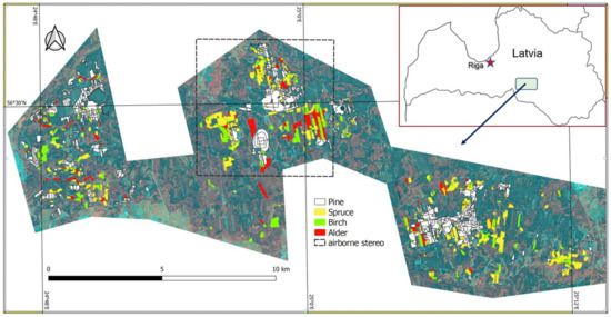 Impact of Base-to-Height Ratio on Canopy Height Estimation Accuracy of ...