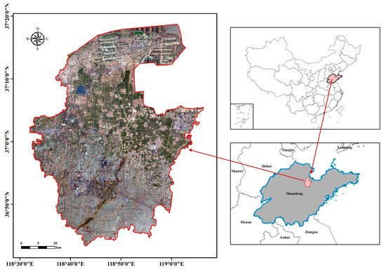 High Resolution Boundary Refined Convolutional Neural Network For Automatic Agricultural