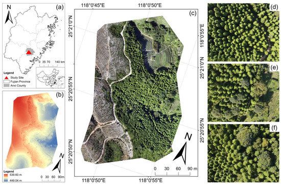 How Does Sample Labeling and Distribution Affect the Accuracy and ...