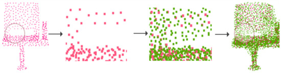 Remote Sensing | Free Full-Text | PU-WGCN: Point Cloud Upsampling Using ...