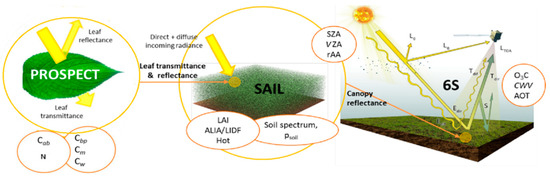 Deep Learning-Based Emulation of Radiative Transfer Models for Top-of-Atmosphere BRDF Modelling ...
