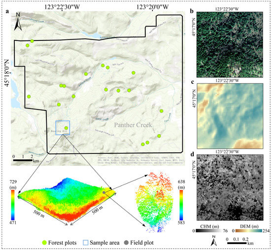 Tree-Species Classification and Individual-Tree-Biomass Model ...
