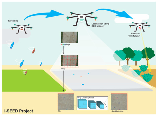 Detection of Artificial Seed-like Objects from UAV Imagery