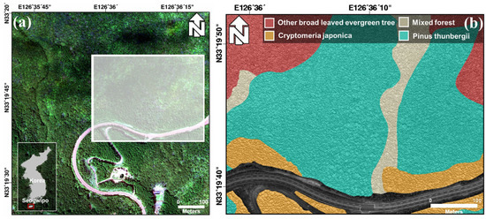 Remote Sensing | Free Full-Text | Mapping Tree Species Using CNN from ...