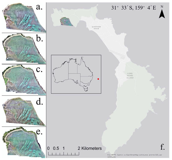 Combining Drones and Deep Learning to Automate Coral Reef Assessment ...