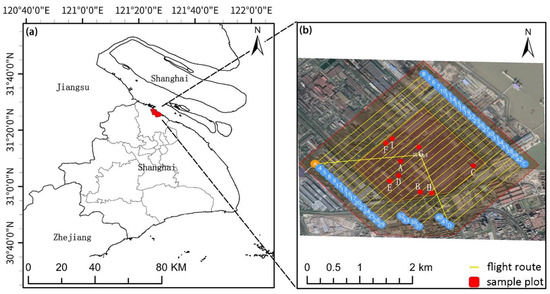 Urban Treetop Detection and Tree-Height Estimation from Unmanned-Aerial ...