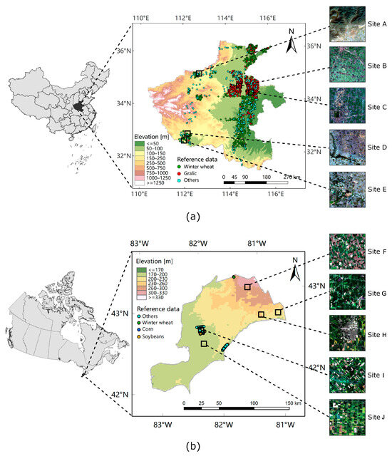 Enhancing Crop Mapping Through Automated Sample Generation Based On Segment Anything Model With