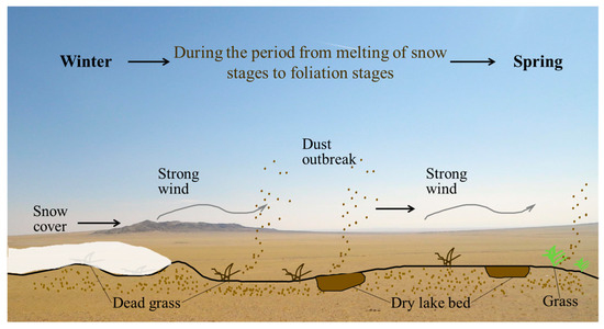 Seasonal Dynamics of the Land-Surface Characteristics in Arid Regions ...