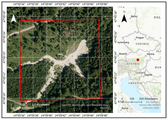 Estimating Carbon Stock in Unmanaged Forests Using Field Data and Remote Sensing