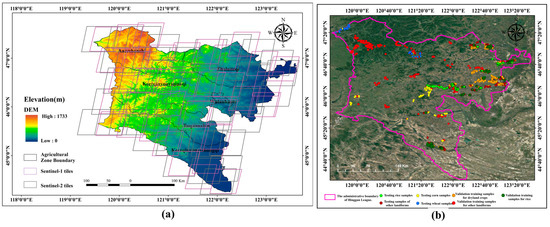Accurate Paddy Rice Mapping Based on Phenology-Based Features and Object-Based Classification