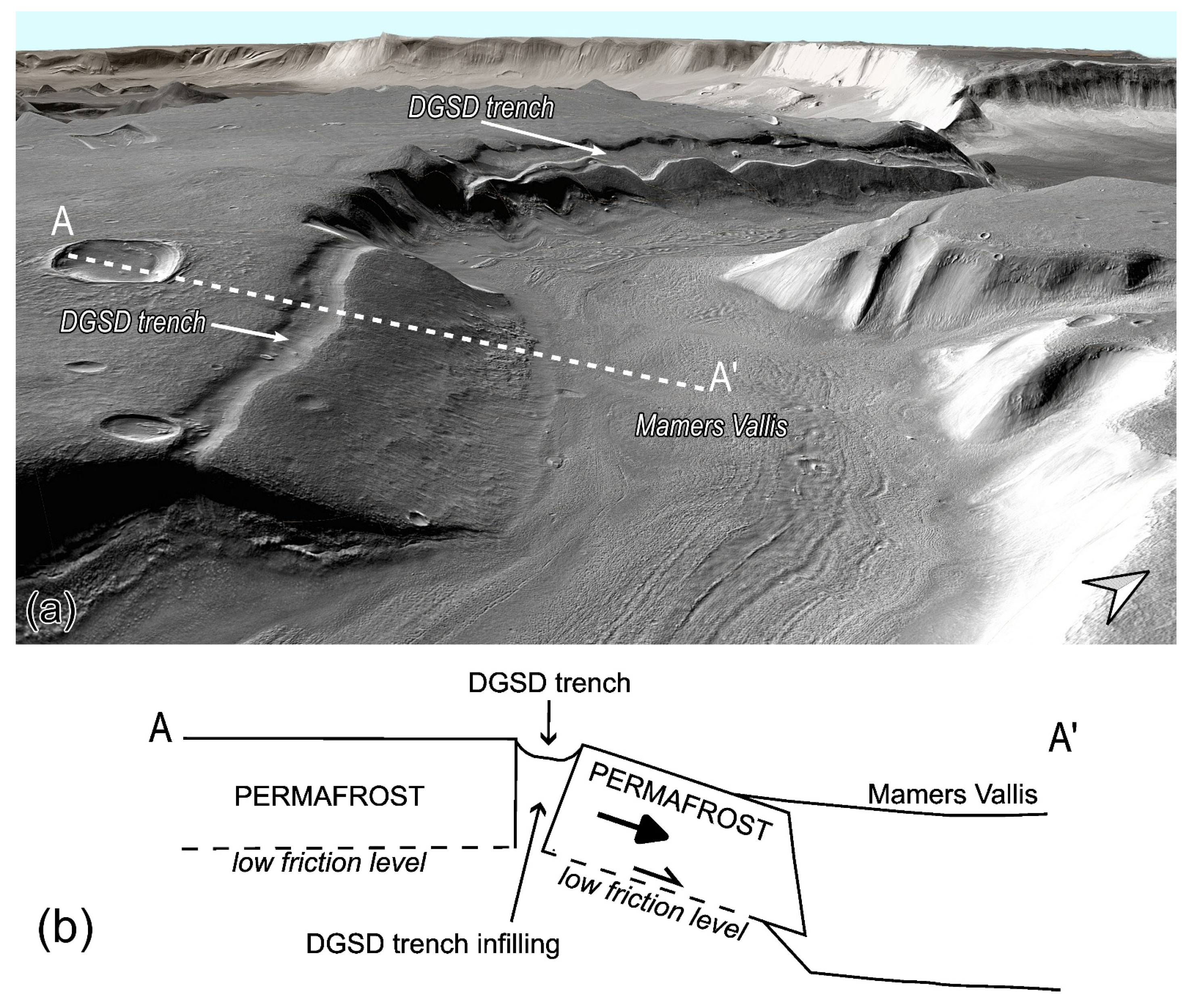Geomorphological Evidence of Ice Activity on Mars Surface at Mid-Latitudes