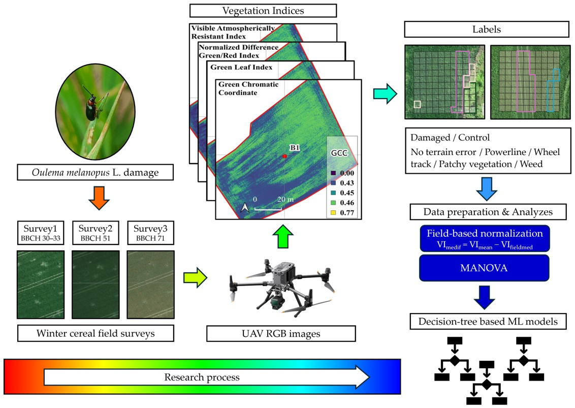 Initial Results of Site-Specific Assessment of Cereal Leaf Beetle ...