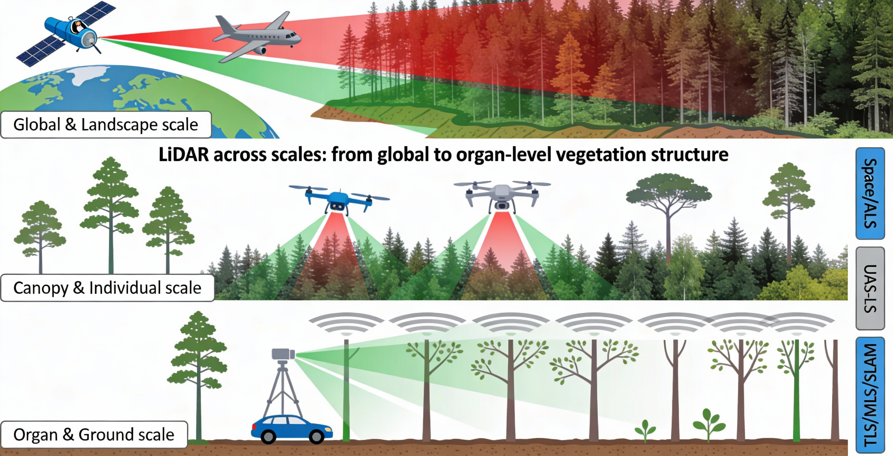 Interdisciplinary Applications of LiDAR in Forest Studies: Advances in ...