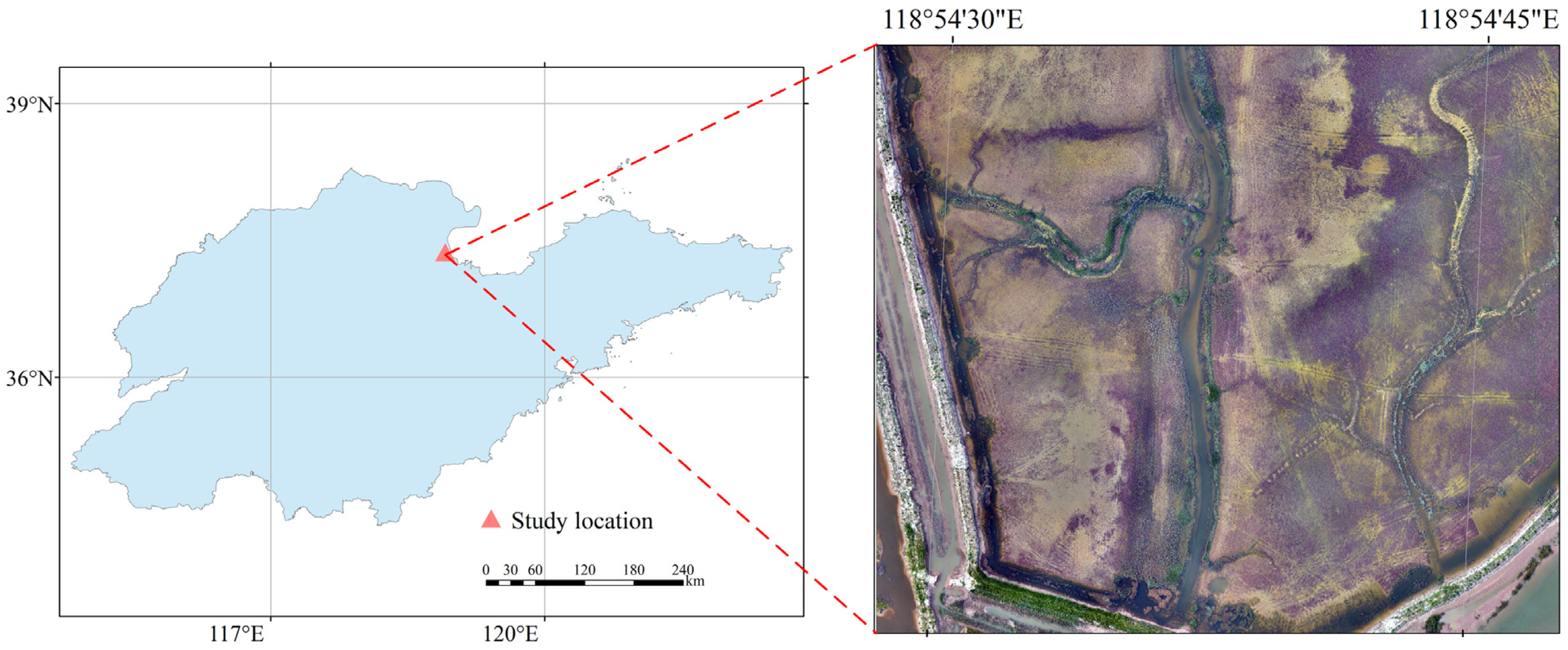 High-Resolution Mapping Coastal Wetland Vegetation Using Frequency ...
