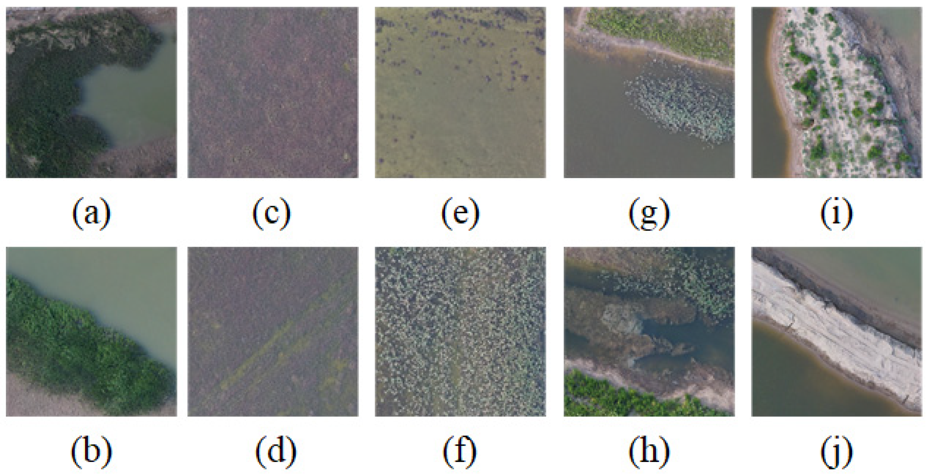 High-Resolution Mapping Coastal Wetland Vegetation Using Frequency ...