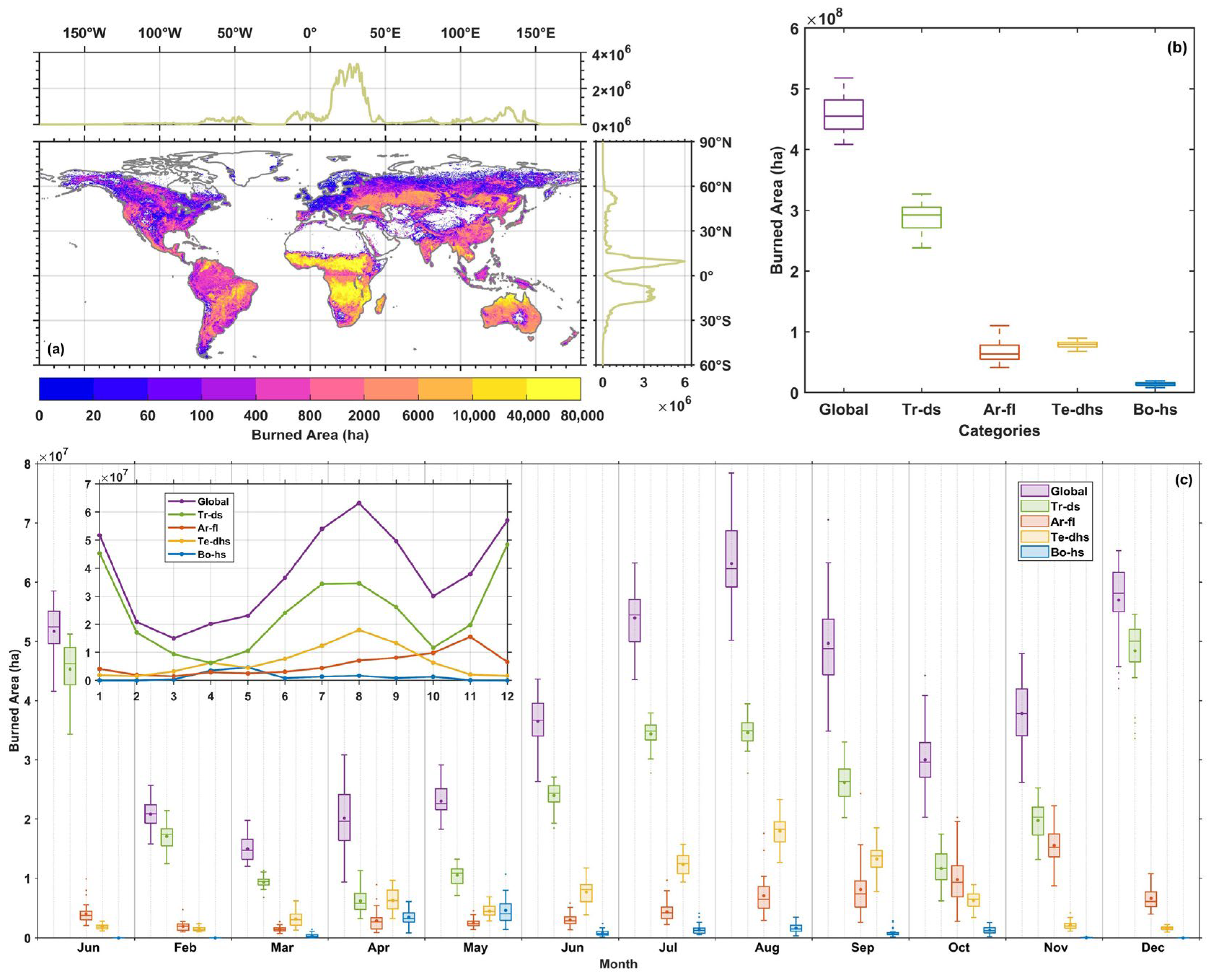 Spatiotemporal Characteristics and Attribution of Global Wildfire Burned