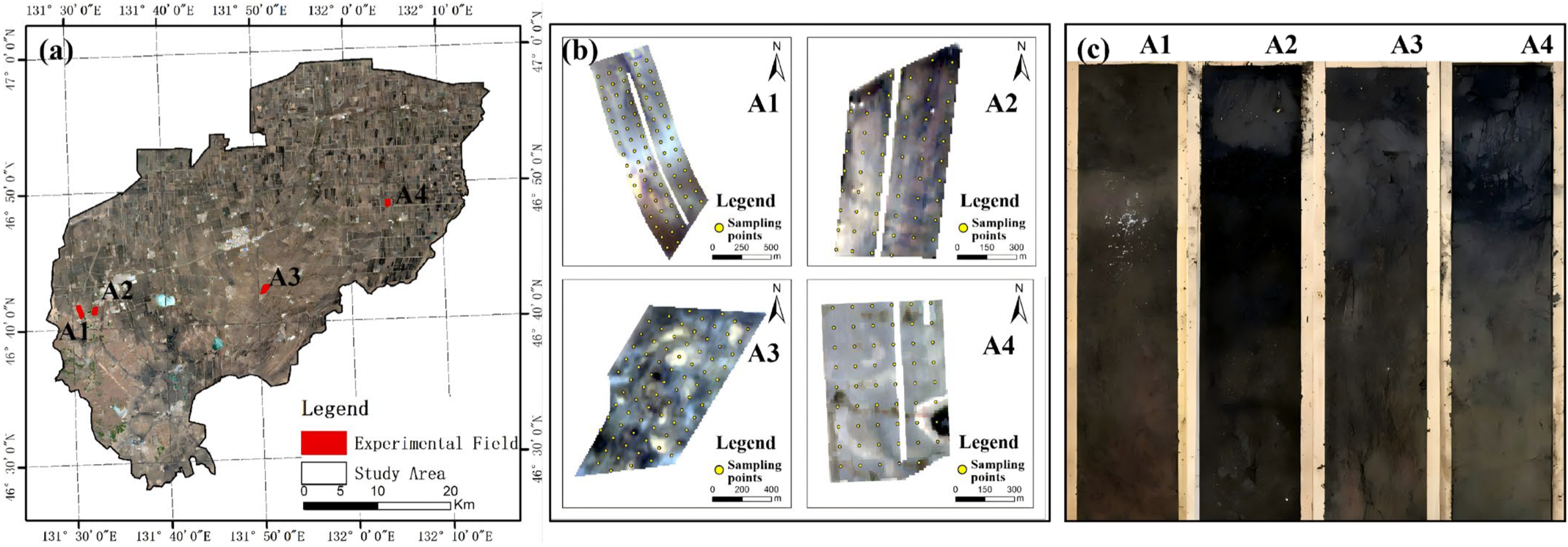 Spatial Prediction of Soil Texture at the Field Scale Using Synthetic ...