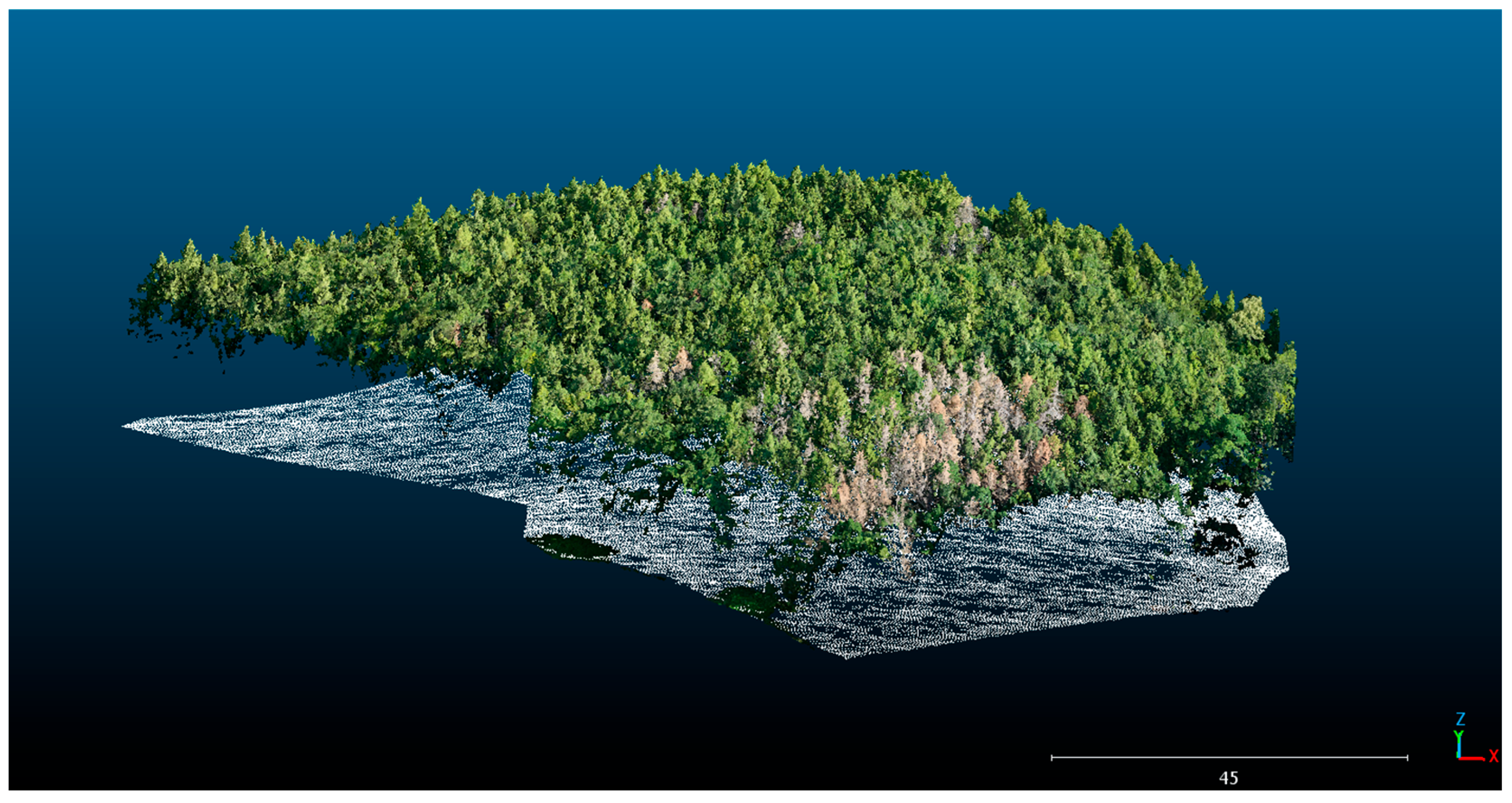 Two-Phase Forest Damage Assessment with Sentinel-2 NDVI Double ...