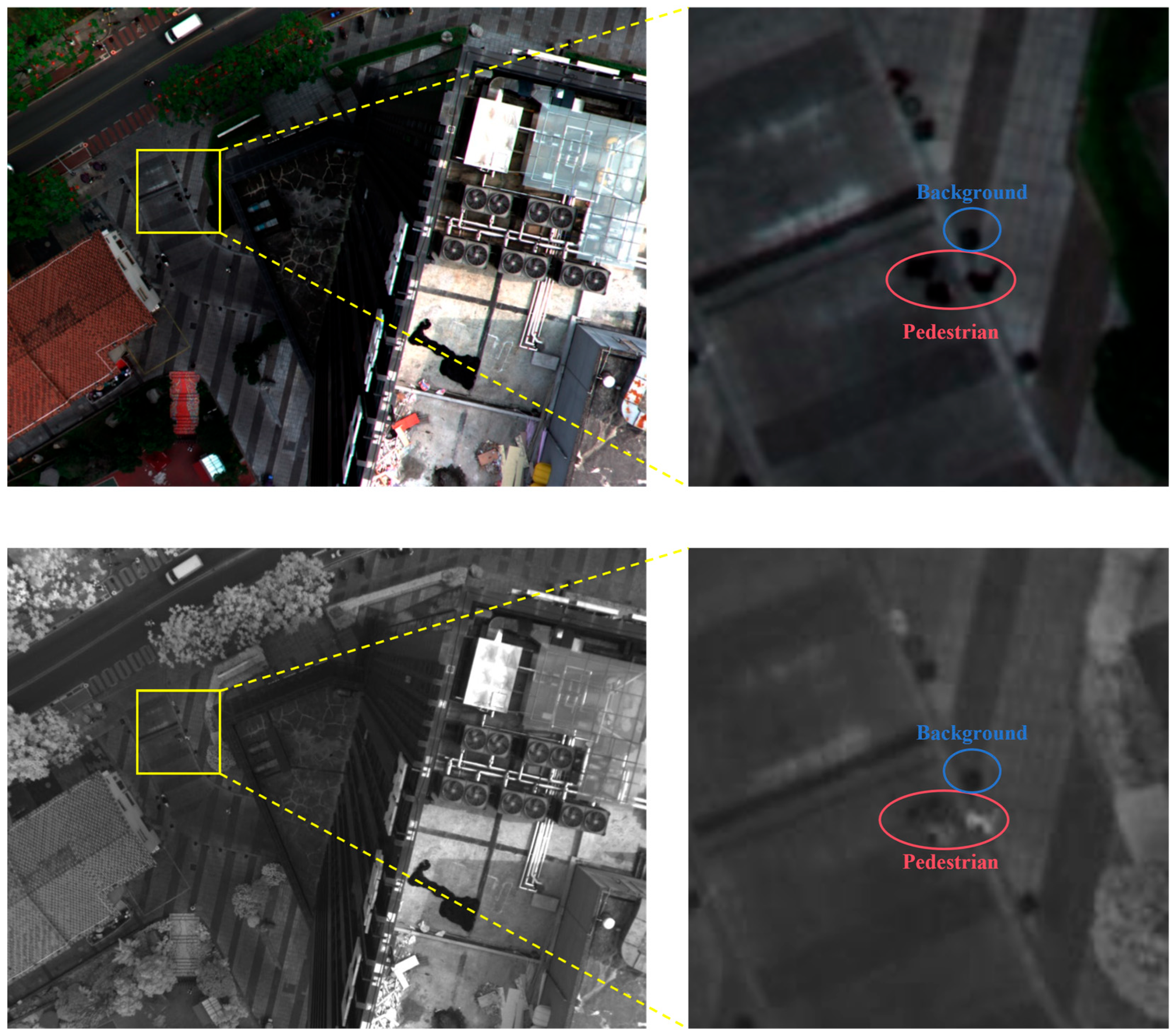 SG-YOLO: A Multispectral Small-Object Detector for UAV Imagery Based on ...