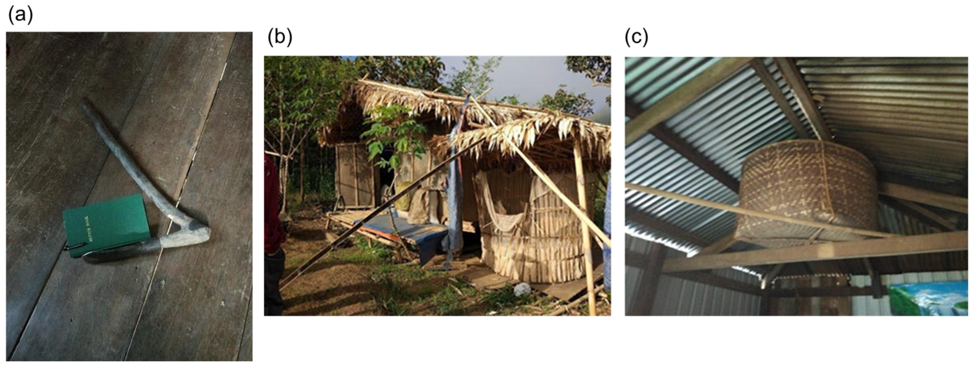 Evaluation of Land Use Patterns and Vegetation Recovery Status of ...