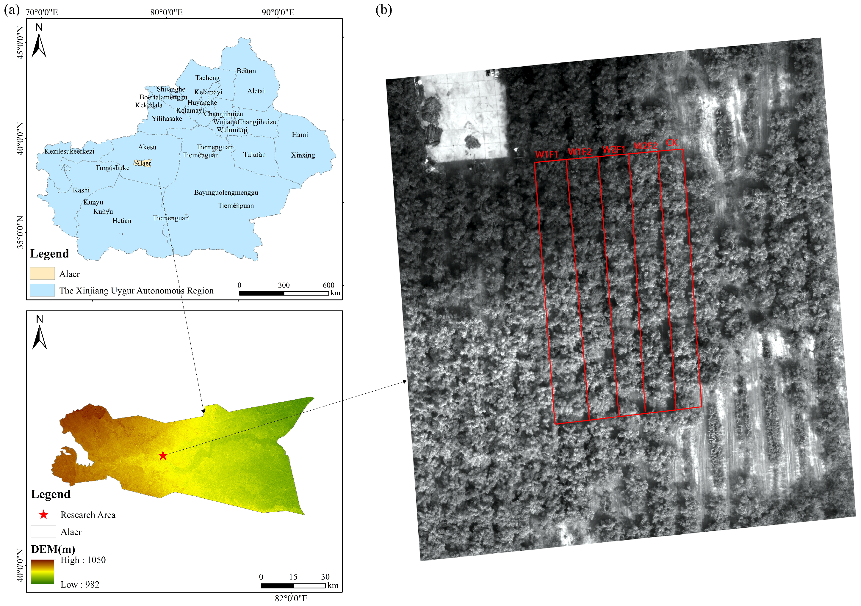 Research on Walnut Yield Estimation Based on Interpretable Machine ...