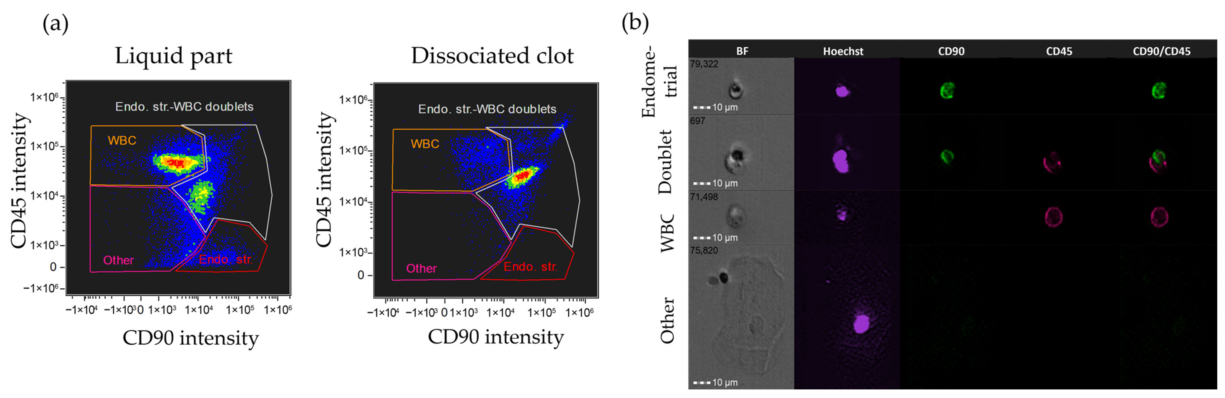 Morphological and Molecular Characterization of Menstrual Blood ...